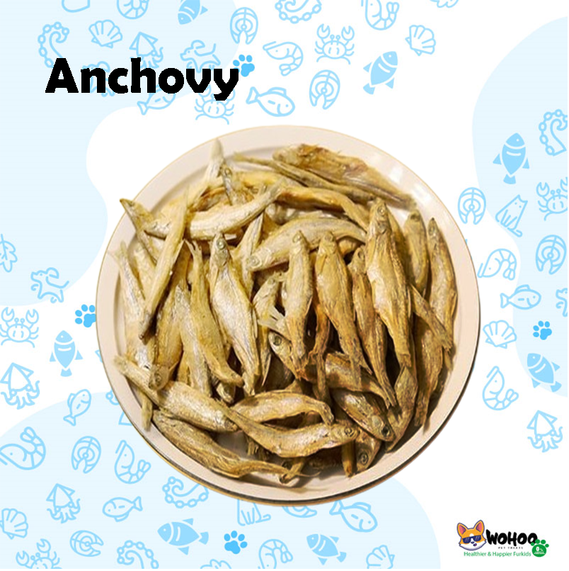 Air Dried Anchovy - Wohoopets