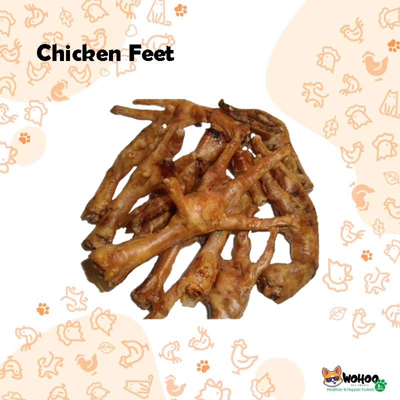 Air Dried Chicken Feet - Wohoopets