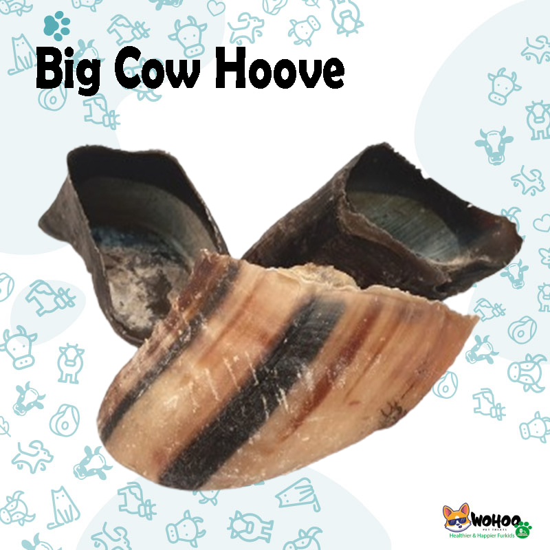 [BUY5FREE 1]Big Cow Hoove - Wohoopets